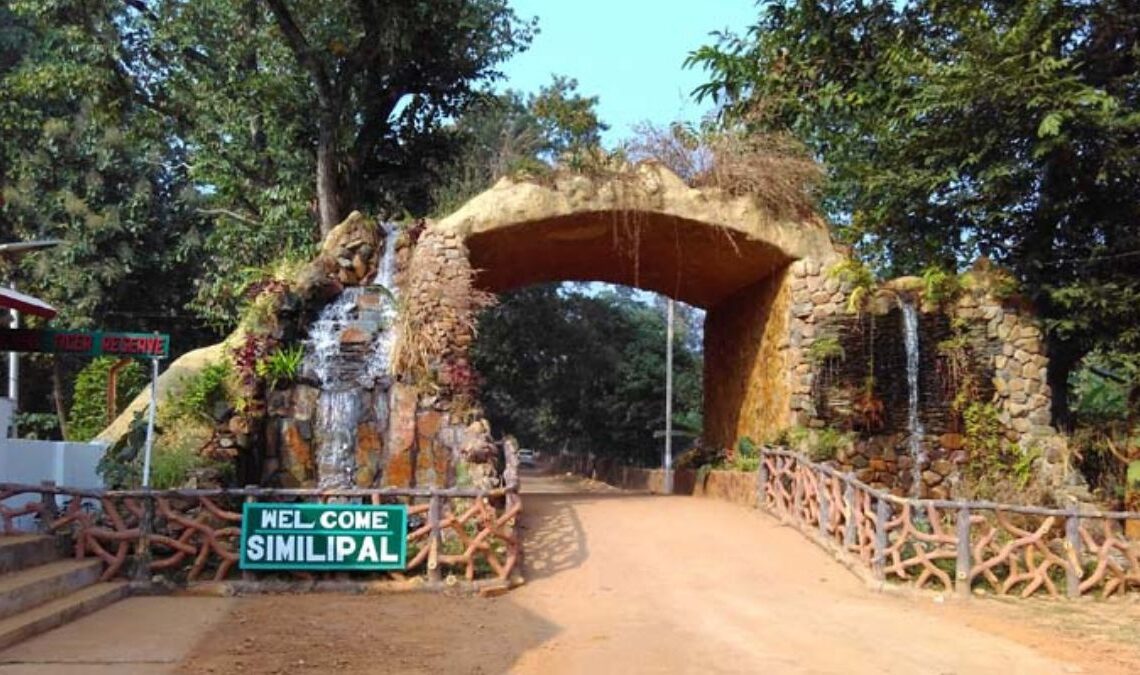 Discover Beauty of Simlipal Tiger Reserve - Recipe Of Travel